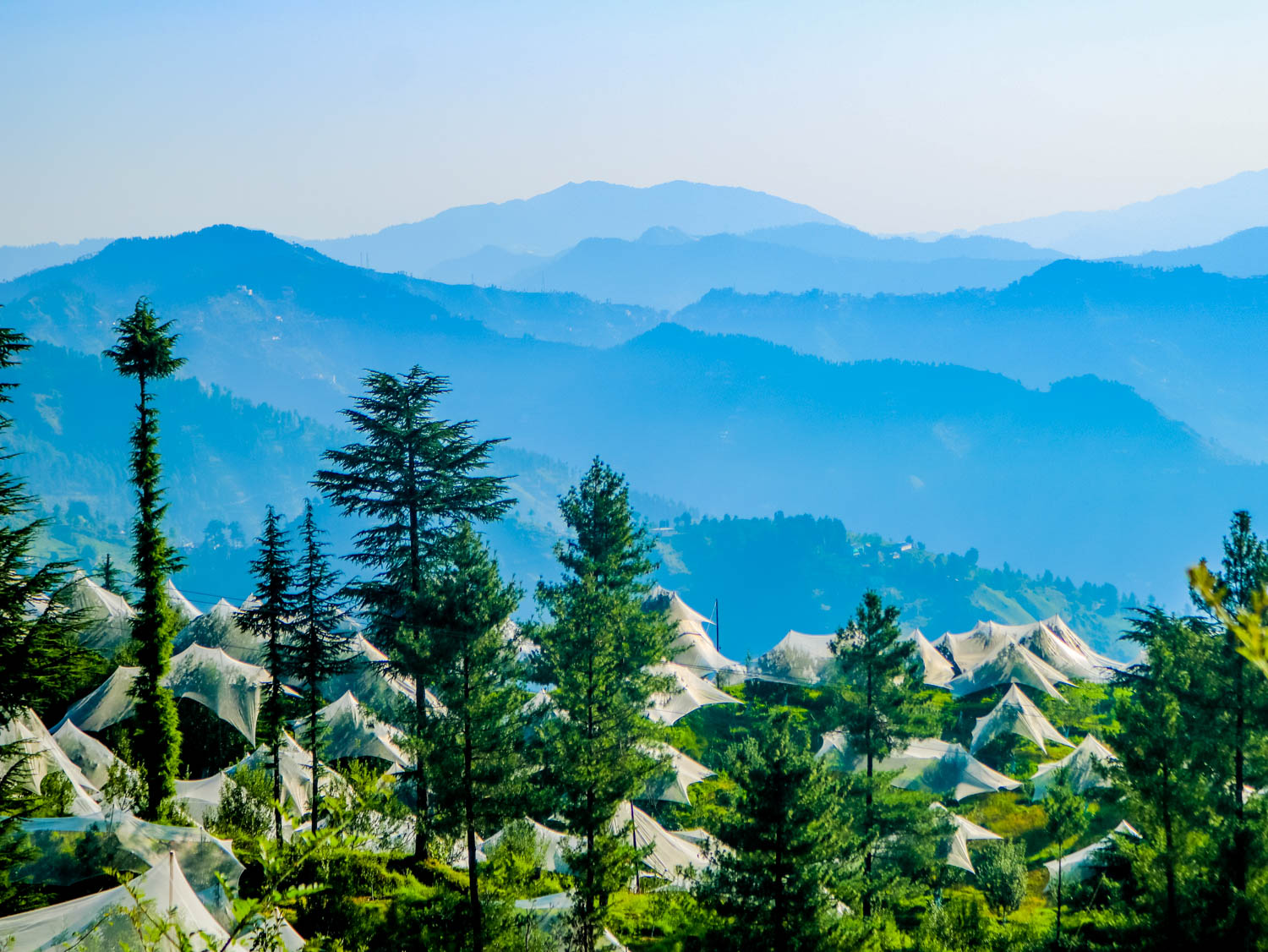 FAGU: A SECRET PARADISE IN HIMACHAL PRADESH