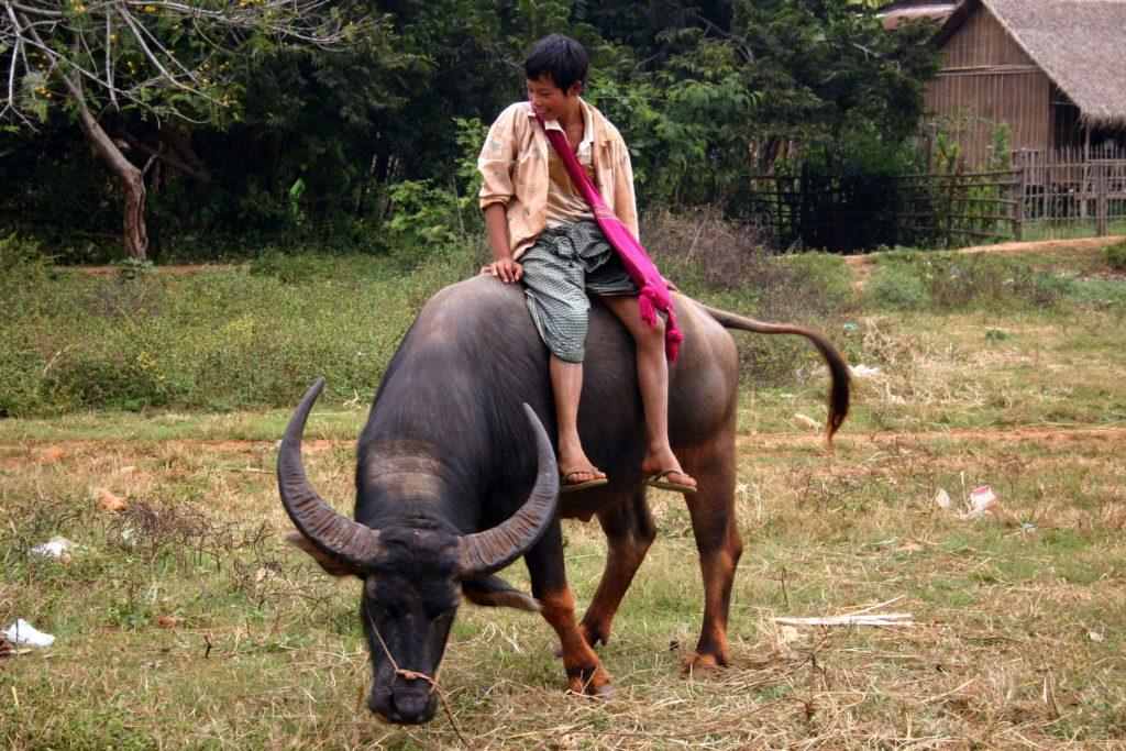 Myanmar’s Ethnic Groups: Their Origins and Traditions